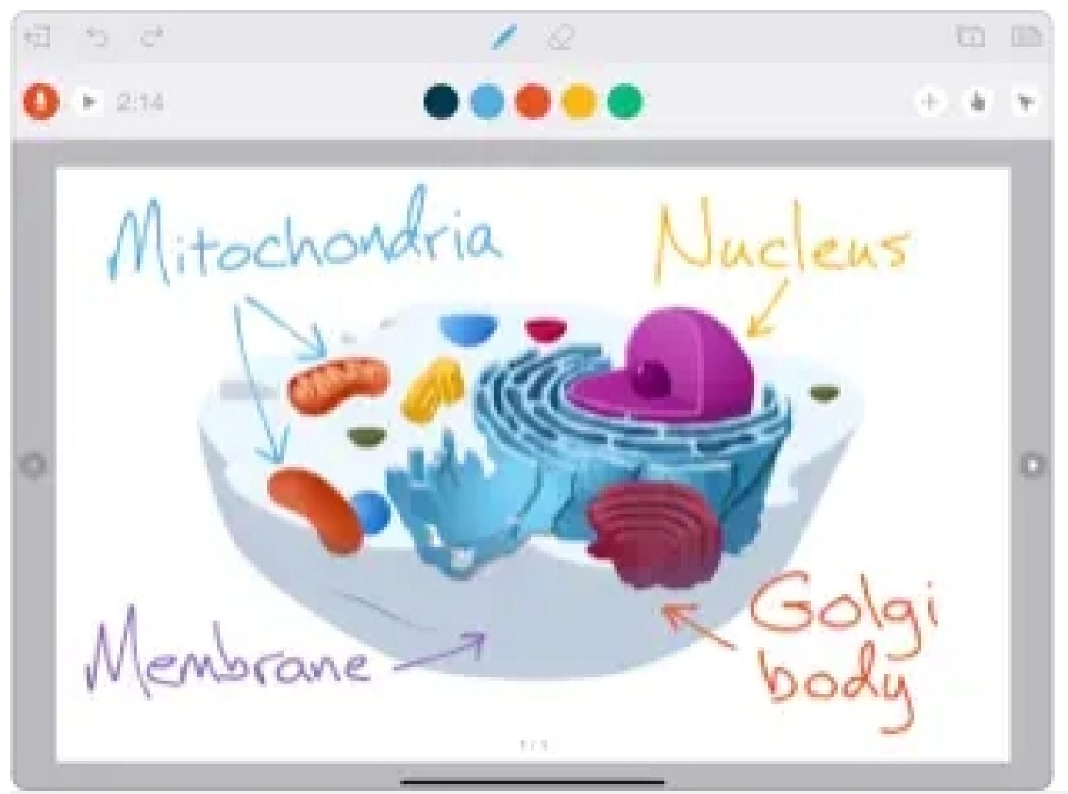 12 Free Interactive Whiteboard Apps for iPad | Freeappsforme - Free ...