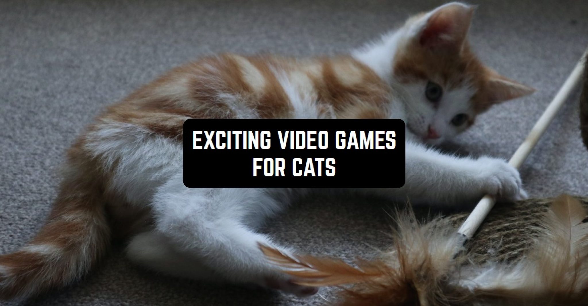 11 Exciting Video Games for Cats on iPad| Freeappsforme - Free apps for ...