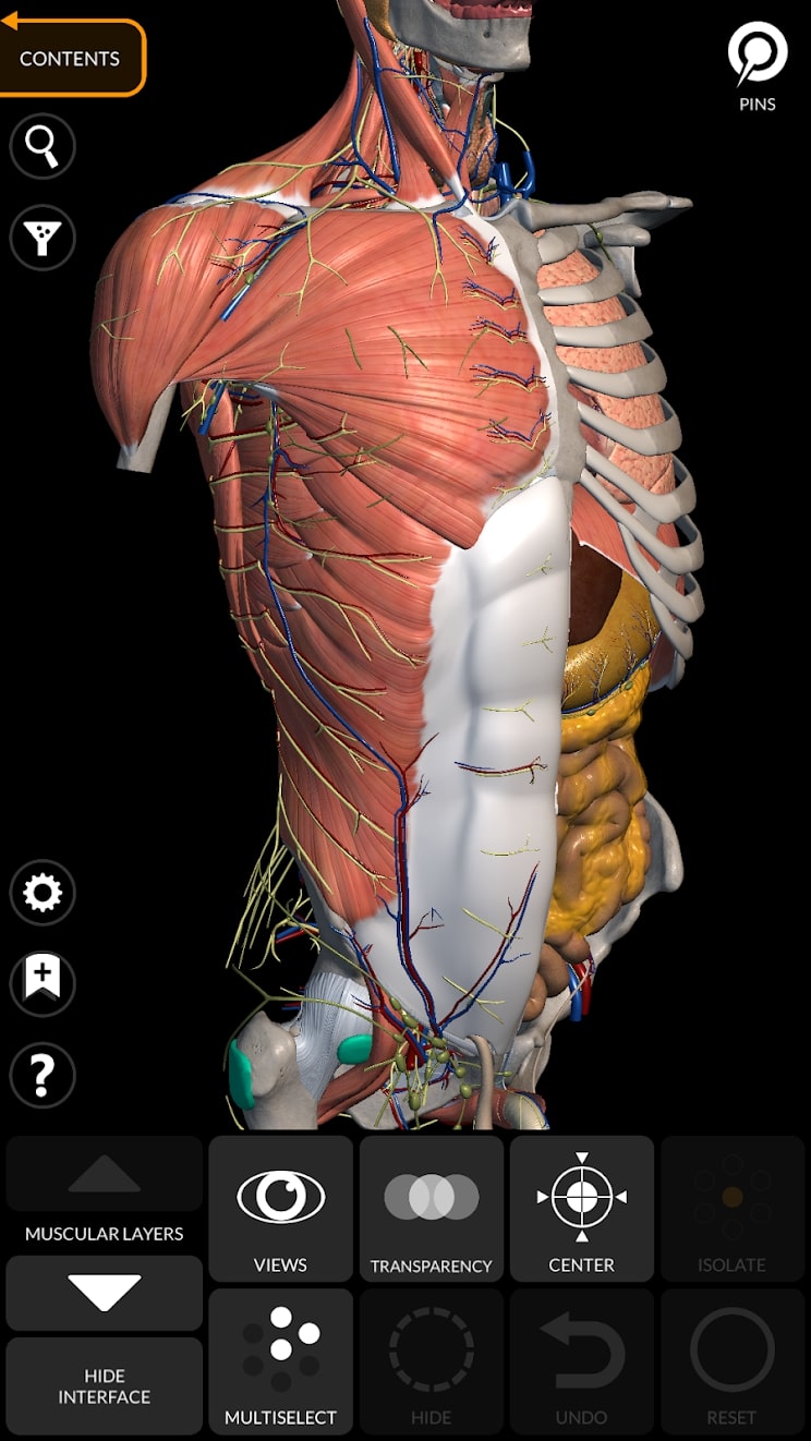 12 Best Anatomy apps for Android & IOS | Free apps for Android and iOS