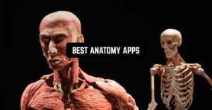 13 Best Anatomy Apps for Android & IOS | Freeappsforme - Free apps for ...