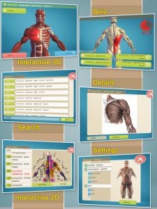 12 Best Anatomy apps for Android & IOS | Freeappsforme - Free apps for ...