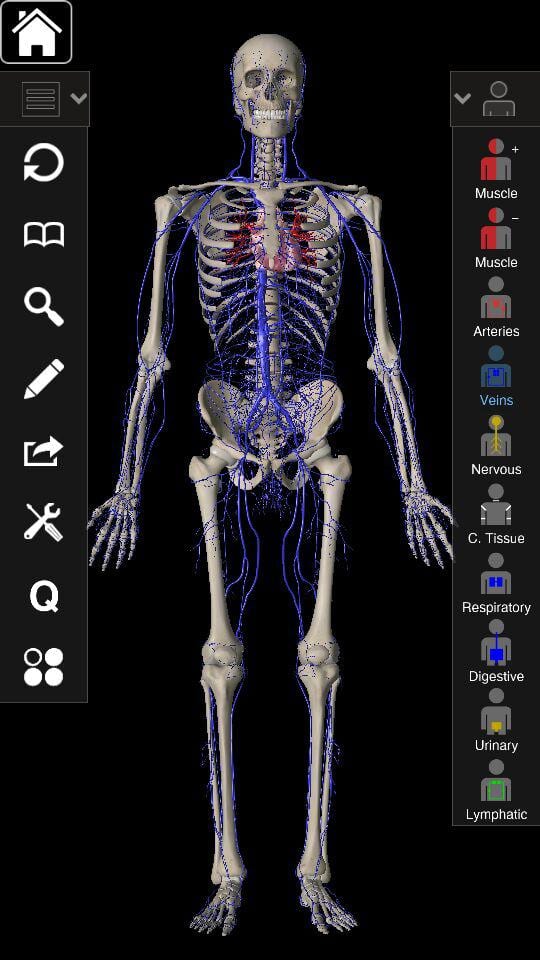 12 Best Anatomy Apps For Android IOS Free Apps For Android And IOS 12 Best Anatomy Apps For Android IOS Free Apps For Android And IOS