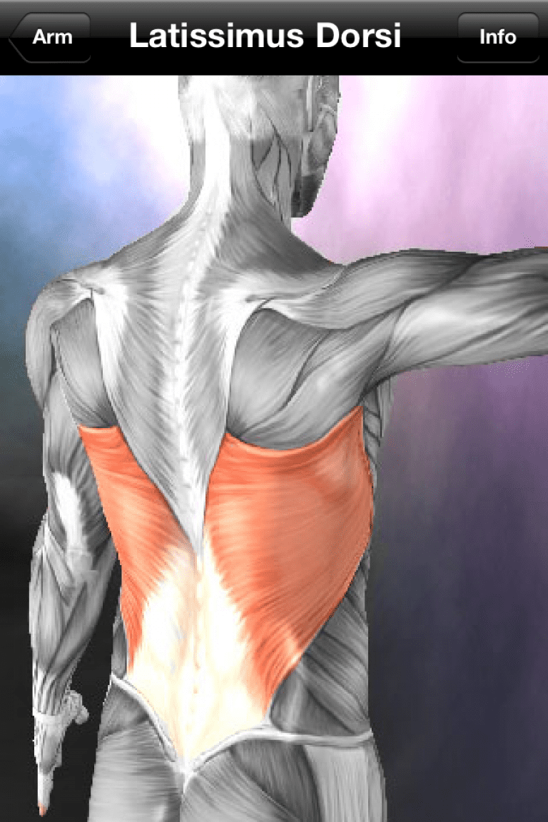 12 Best Anatomy apps for Android & IOS | Freeappsforme - Free apps for ...