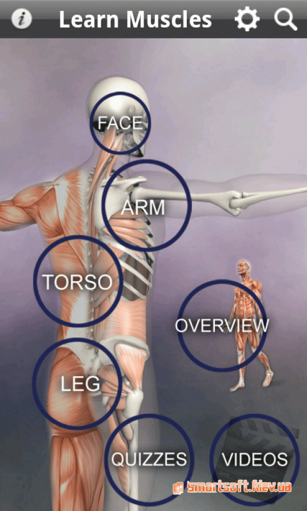 12 Best Anatomy apps for Android & IOS | Freeappsforme - Free apps for ...