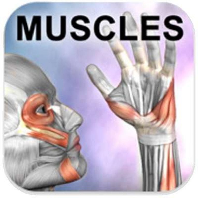 12 Best Anatomy apps for Android & IOS | Free apps for Android and iOS
