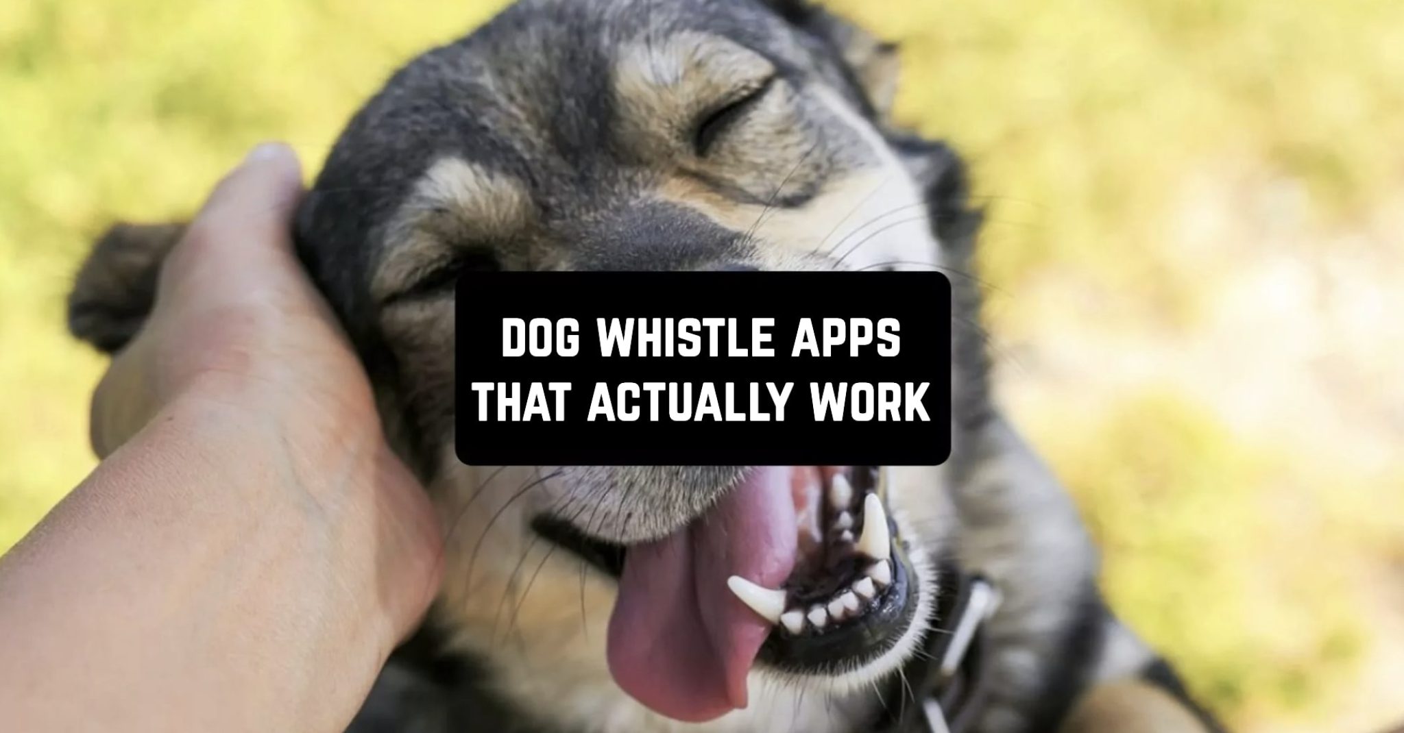 12 Dog Whistle Apps That Actually Work | Freeappsforme - Free apps for ...