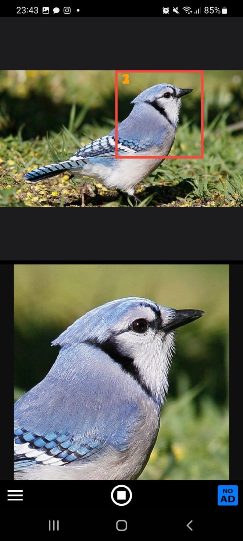 17 Best Photo Zoom Apps for Android & iOS | Freeappsforme - Free apps ...