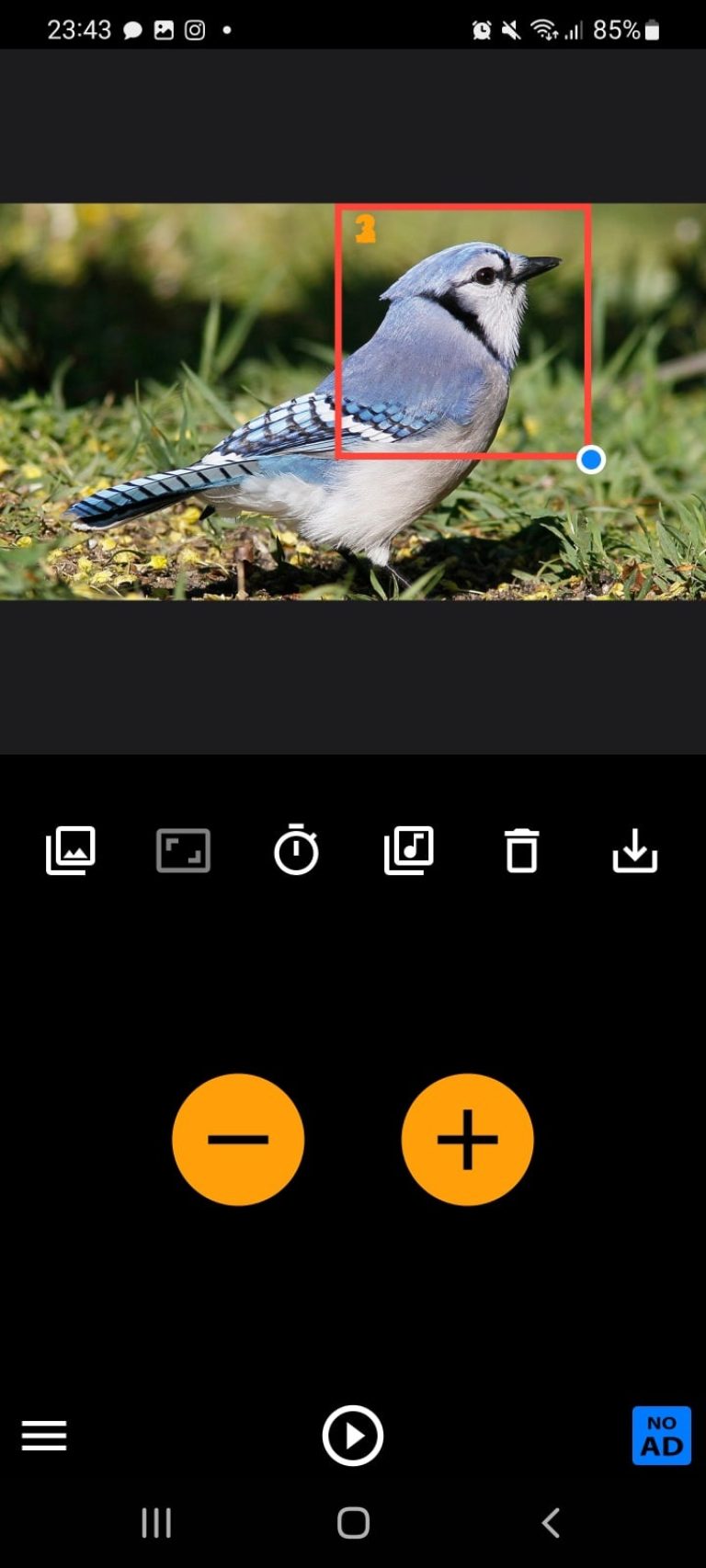 17 Best Photo Zoom Apps for Android & iOS | Freeappsforme - Free apps ...