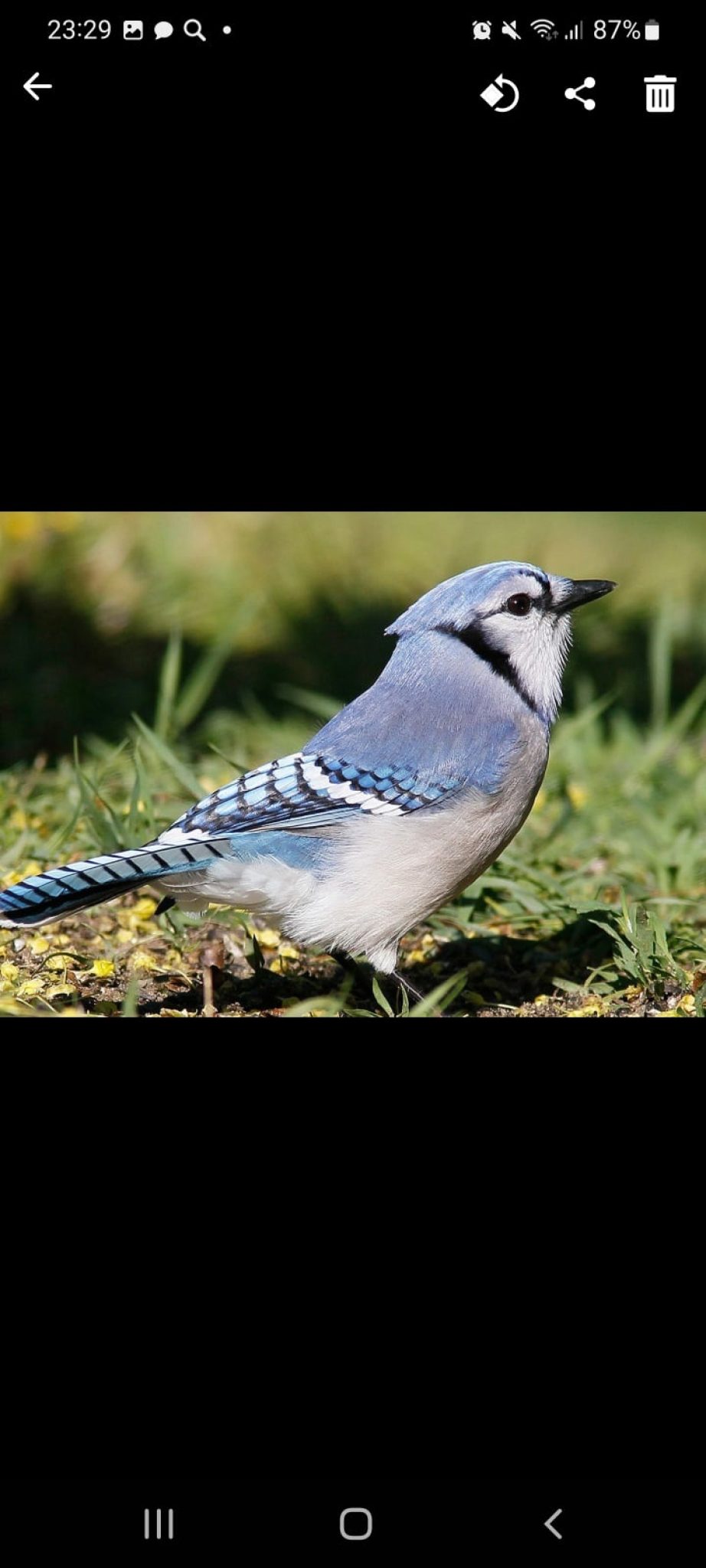 17 Best Photo Zoom Apps for Android & iOS | Freeappsforme - Free apps ...