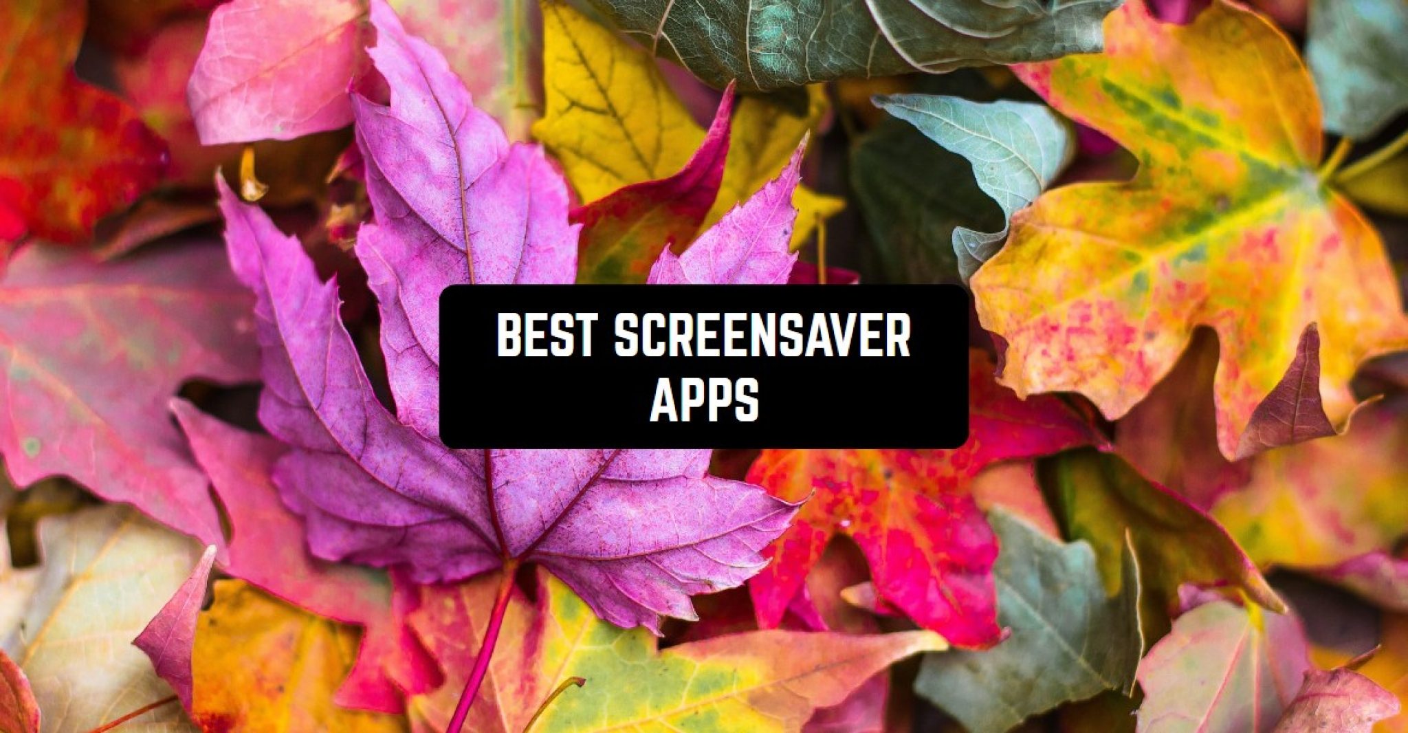 17 Best Screensaver Apps for Android & iOS | Freeappsforme - Free apps ...