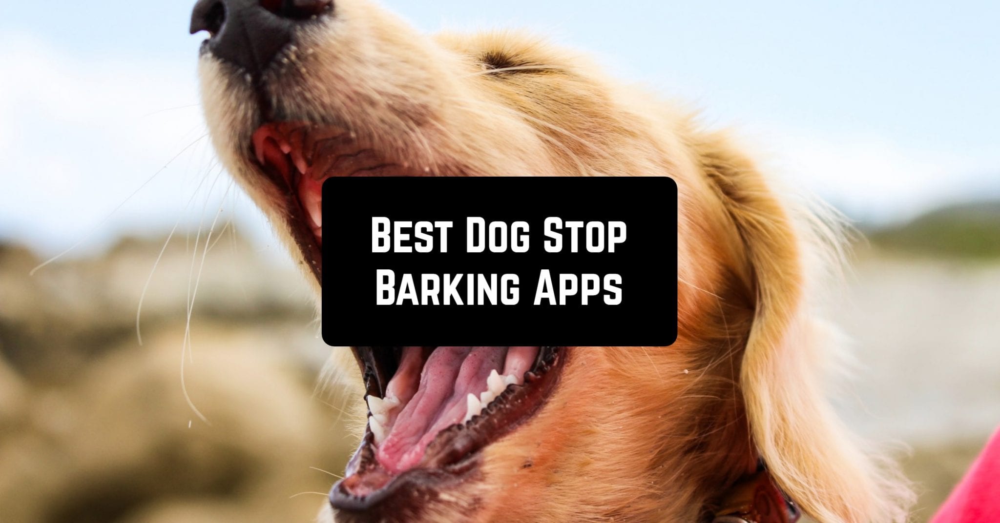 7 Best dog stop barking apps (updated 2020) | Free apps for Android and iOS