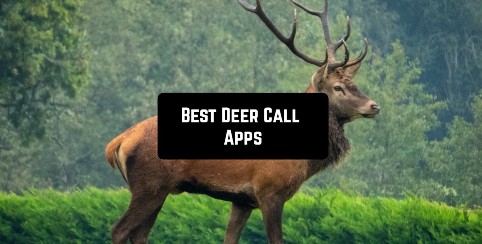 10 Best deer call apps (Android & iOS) | Freeappsforme - Free apps for ...