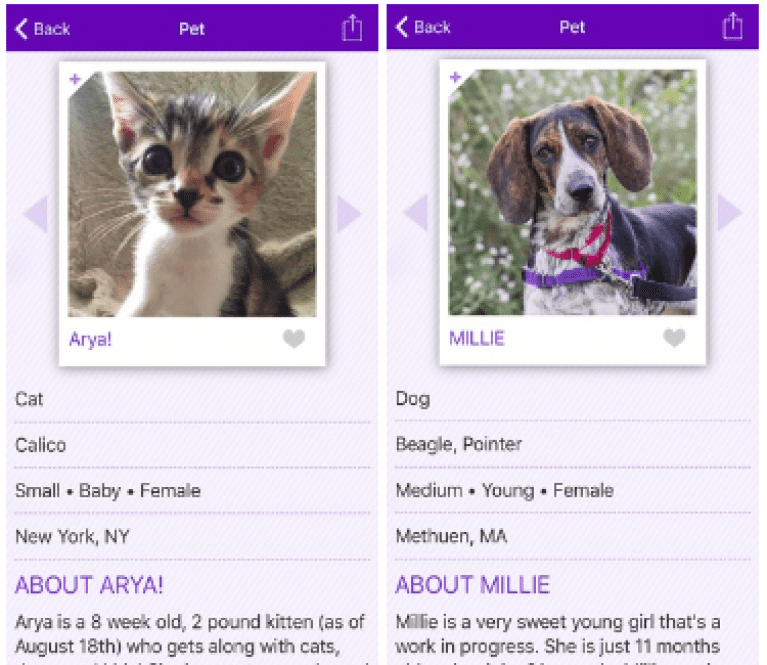 11 Best pet adoption apps in USA for Android & iOS | Freeappsforme ...