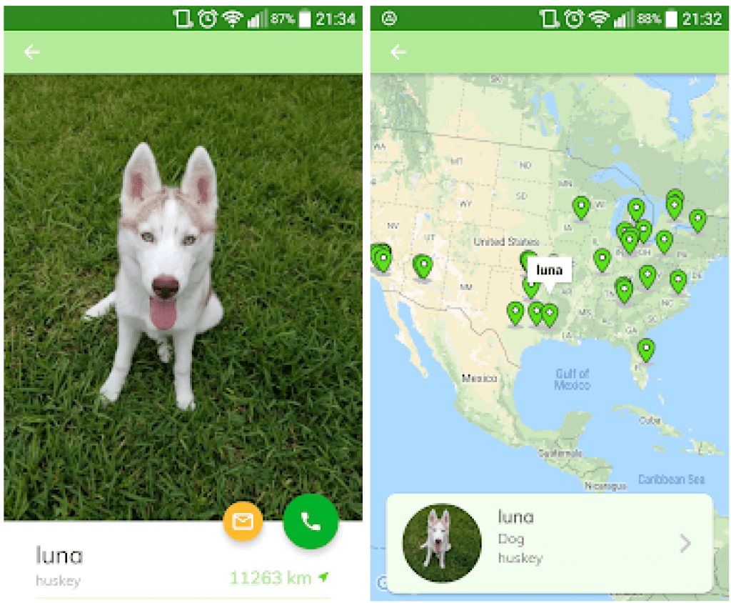 11 Best pet adoption apps in USA for Android & iOS | Freeappsforme ...