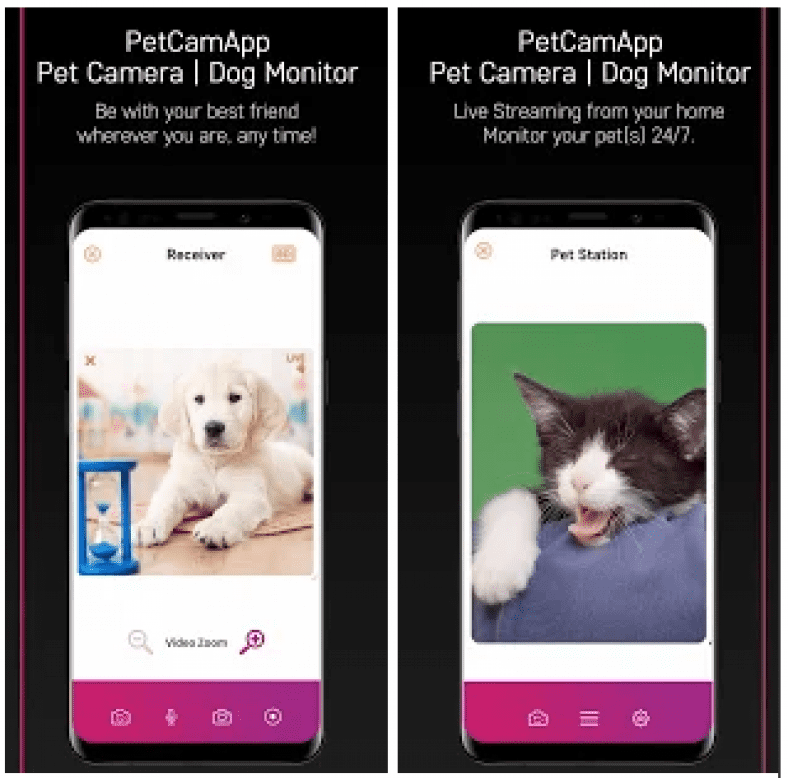 7 Best pet camera apps for Android & iOS | Freeappsforme - Free apps ...