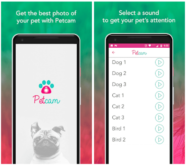 7 Best pet camera apps for Android & iOS | Freeappsforme - Free apps ...