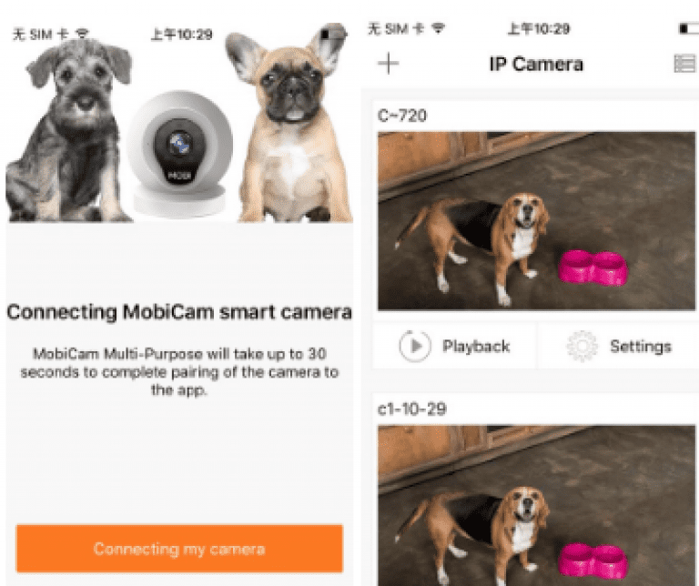 7 Best pet camera apps for Android & iOS | Freeappsforme - Free apps ...