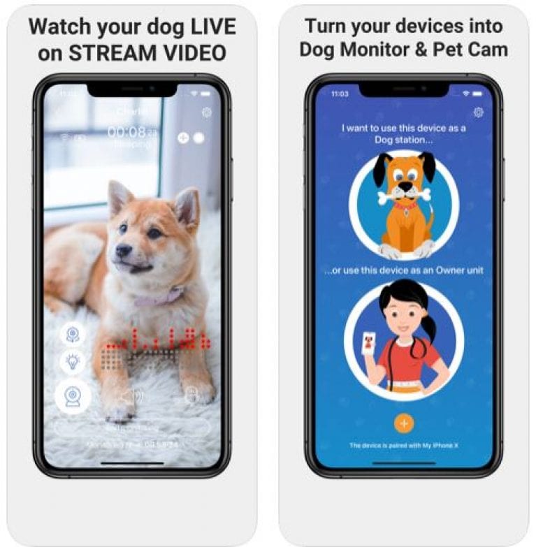 7 Best pet camera apps for Android & iOS | Freeappsforme - Free apps ...