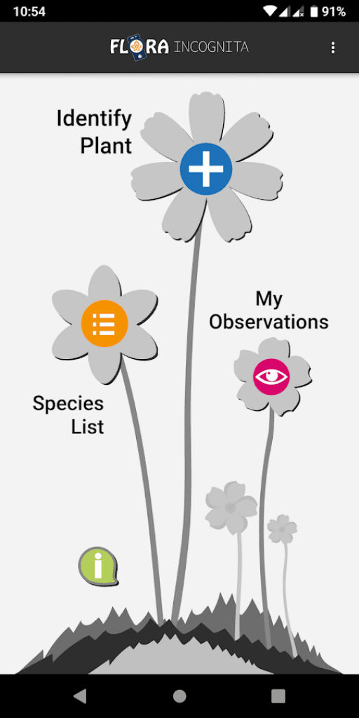 16 Best plant identification apps for Android & iOS | Freeappsforme ...
