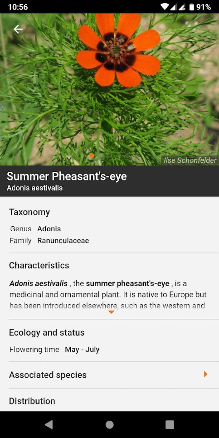 16 Best plant identification apps for Android & iOS | Freeappsforme ...