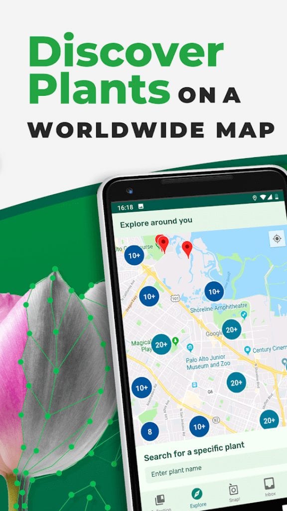 16 Best plant identification apps for Android & iOS | Freeappsforme ...