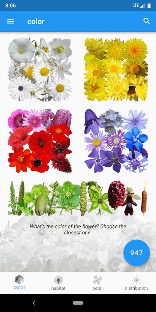 16 Best plant identification apps for Android & iOS | Freeappsforme ...