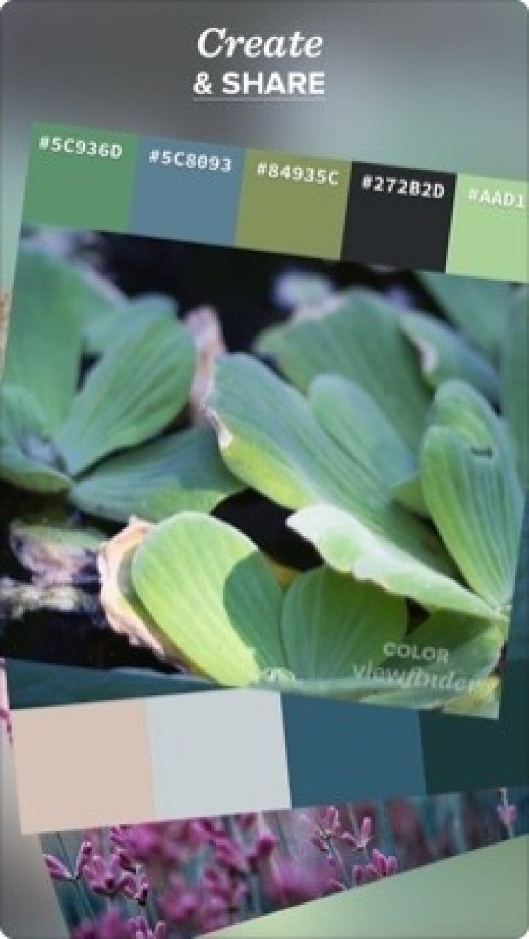 11 Best Color Identification Apps for Android & iOS | Free apps for ...