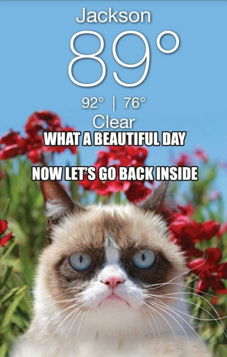 9 Funny weather apps to watch engaging forecasts | Free apps for ...