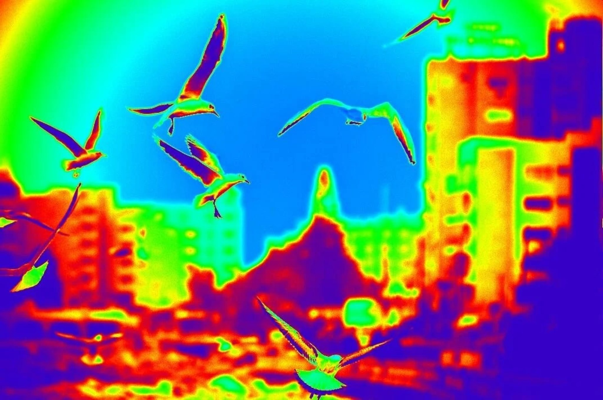 11 Best Infrared Camera Apps for Android & iOS | Free apps for Android ...