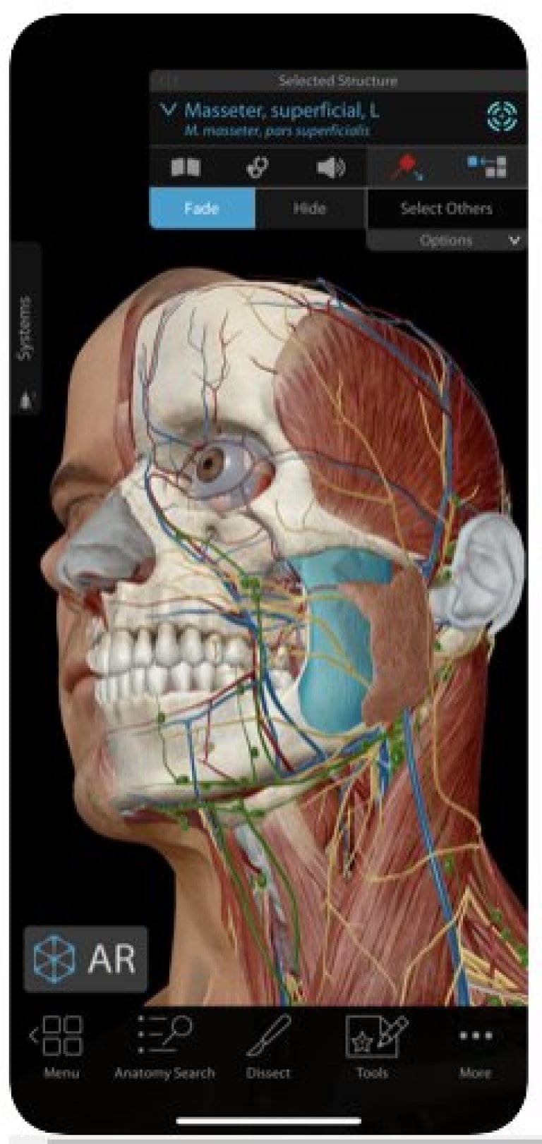 15 Best Anatomy Apps 2025 (Android & iOS) | Freeappsforme - Free apps ...