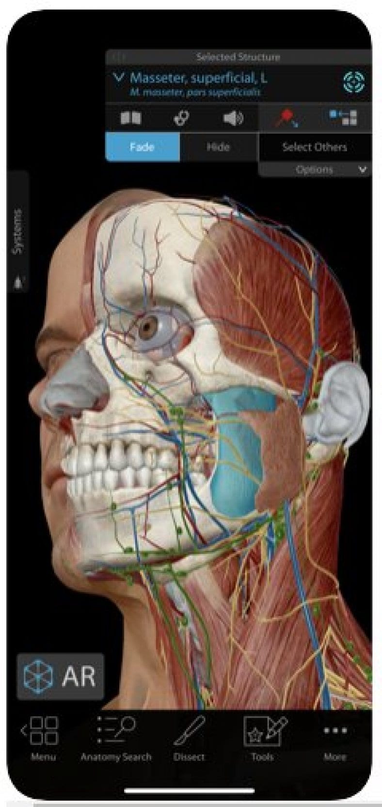 15 Best Anatomy Apps 2025 (Android & iOS) | Freeappsforme - Free apps ...