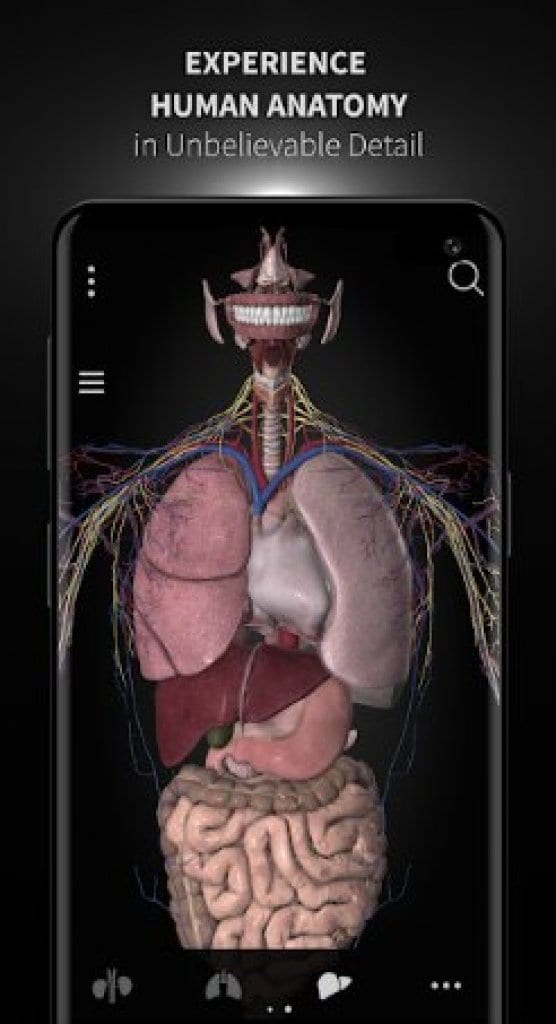 15 Best Anatomy Apps 2025 (Android & iOS) | Freeappsforme - Free apps ...