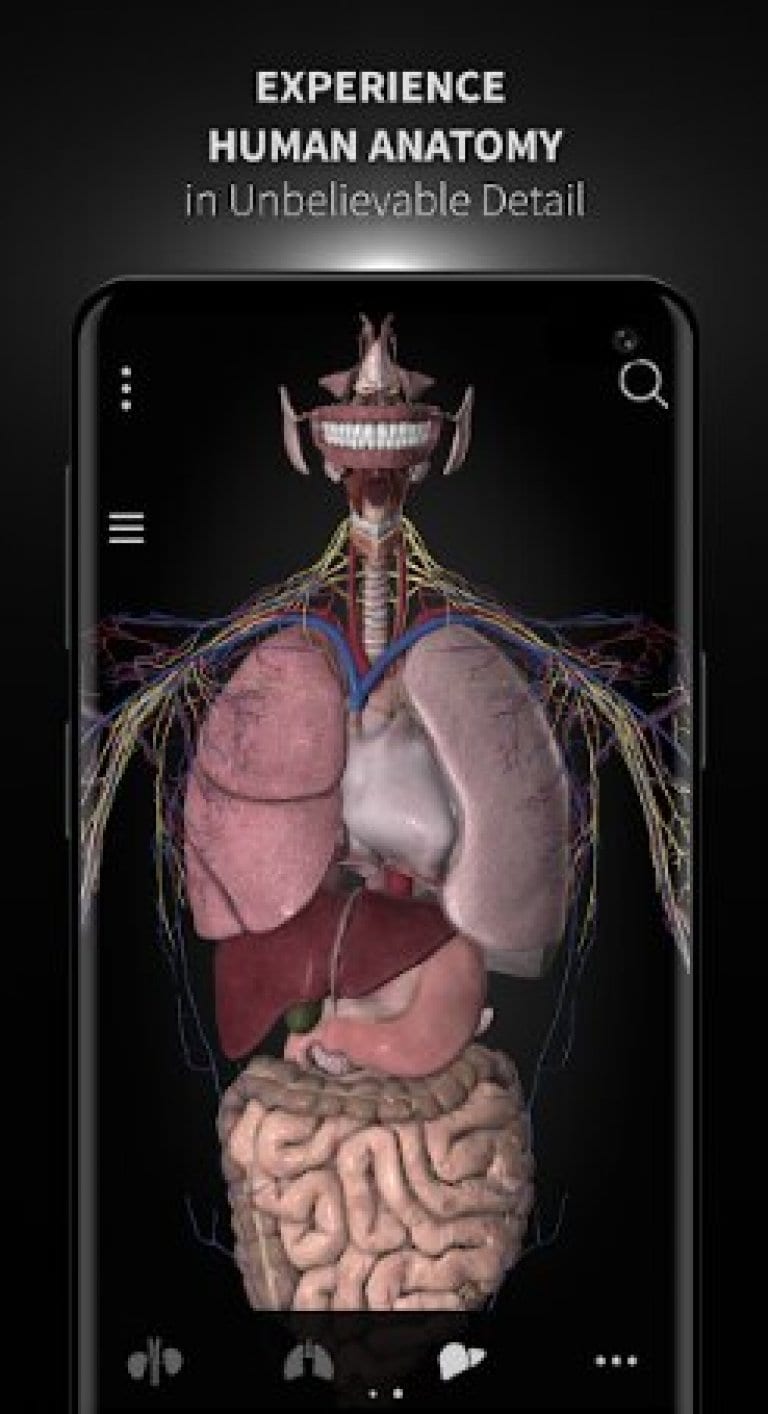 15 Best Anatomy Apps 2025 (Android & iOS) | Freeappsforme - Free apps ...
