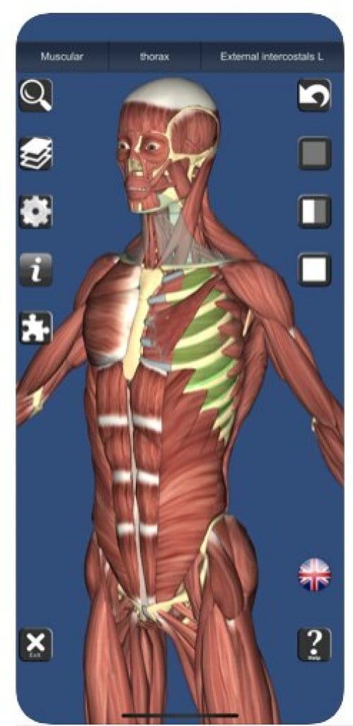 15 Best Anatomy Apps 2025 (Android & iOS) | Freeappsforme - Free apps ...
