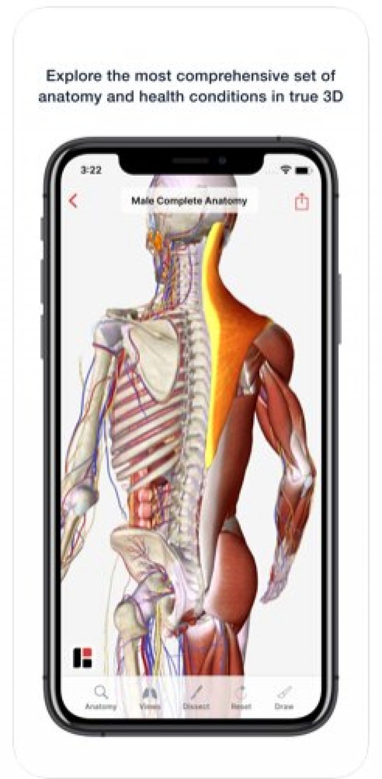 15 Best Anatomy Apps 2026 (Android & iOS) | Freeappsforme - Free apps ...