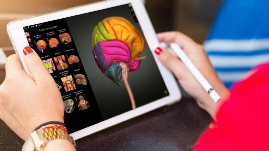 15 Best Anatomy Apps 2025 (Android & iOS) | Freeappsforme - Free apps ...