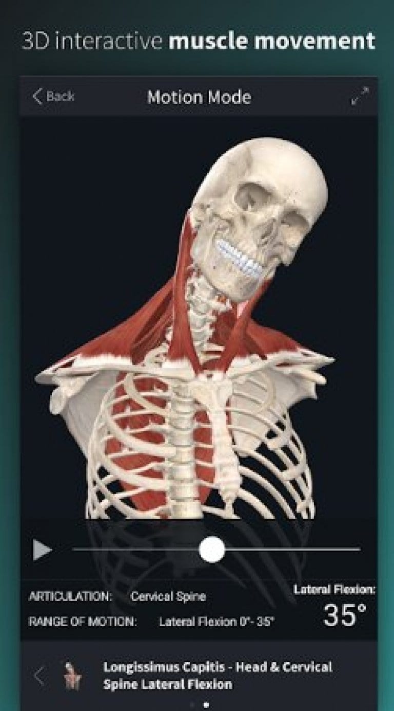 15 Best Anatomy Apps 2025 (Android & iOS) | Freeappsforme - Free apps ...
