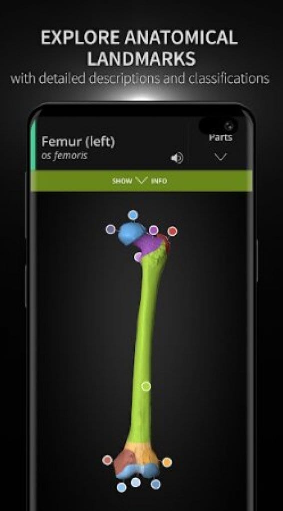 15 Best Anatomy Apps 2025 (Android & iOS) | Freeappsforme - Free apps ...