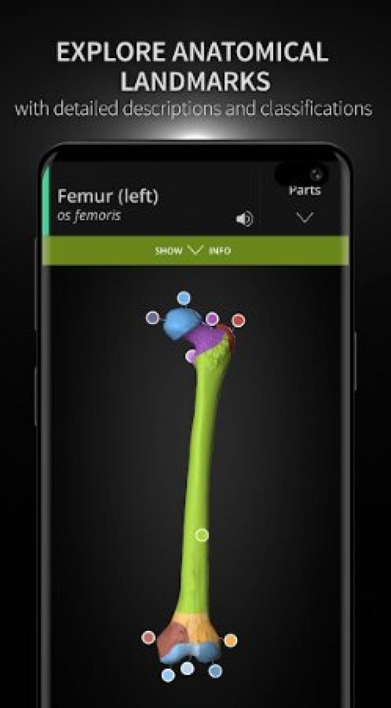 15 Best Anatomy Apps 2025 (Android & iOS) | Freeappsforme - Free apps ...