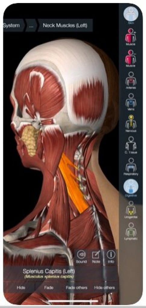 15 Best Anatomy Apps 2026 (Android & iOS) | Freeappsforme - Free apps ...