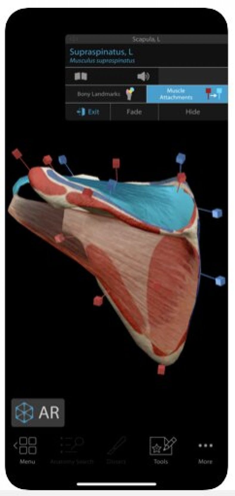 15 Best Anatomy Apps 2025 (Android & iOS) | Freeappsforme - Free apps ...