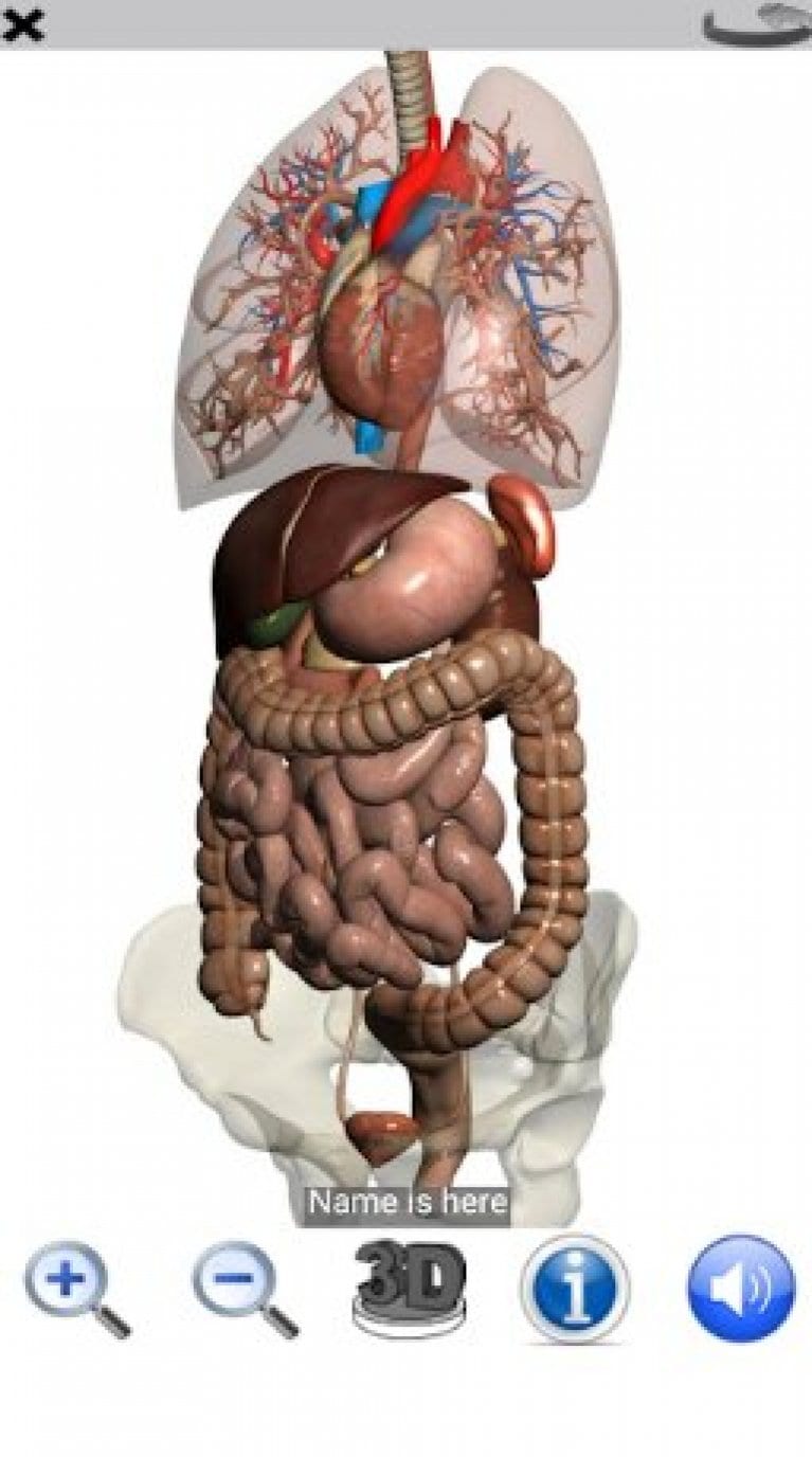 15 Best Anatomy Apps 2026 (Android & iOS) | Freeappsforme - Free apps ...
