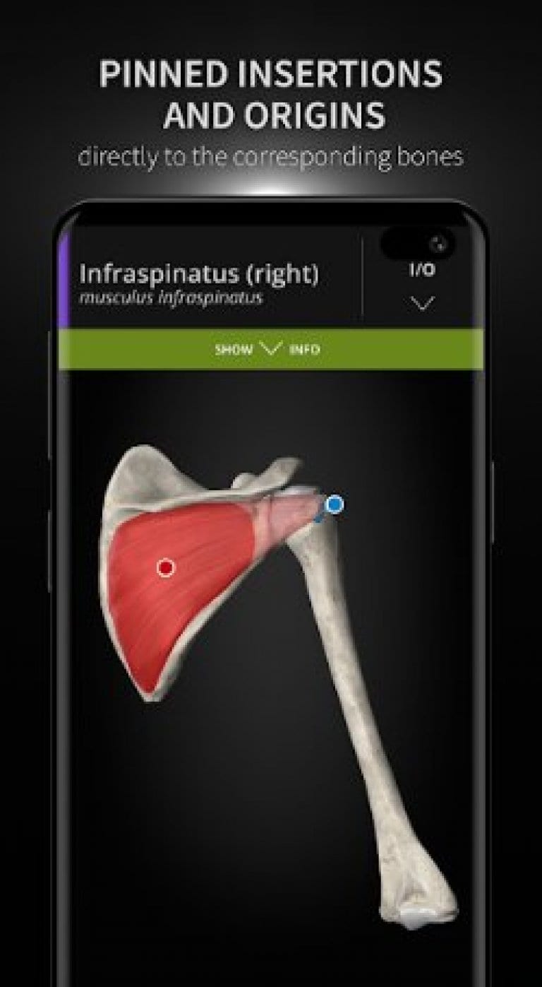 15 Best Anatomy Apps 2026 (Android & iOS) | Freeappsforme - Free apps ...