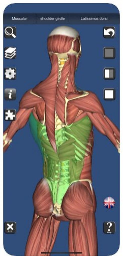 15 Best Anatomy Apps 2026 (Android & iOS) | Freeappsforme - Free apps ...