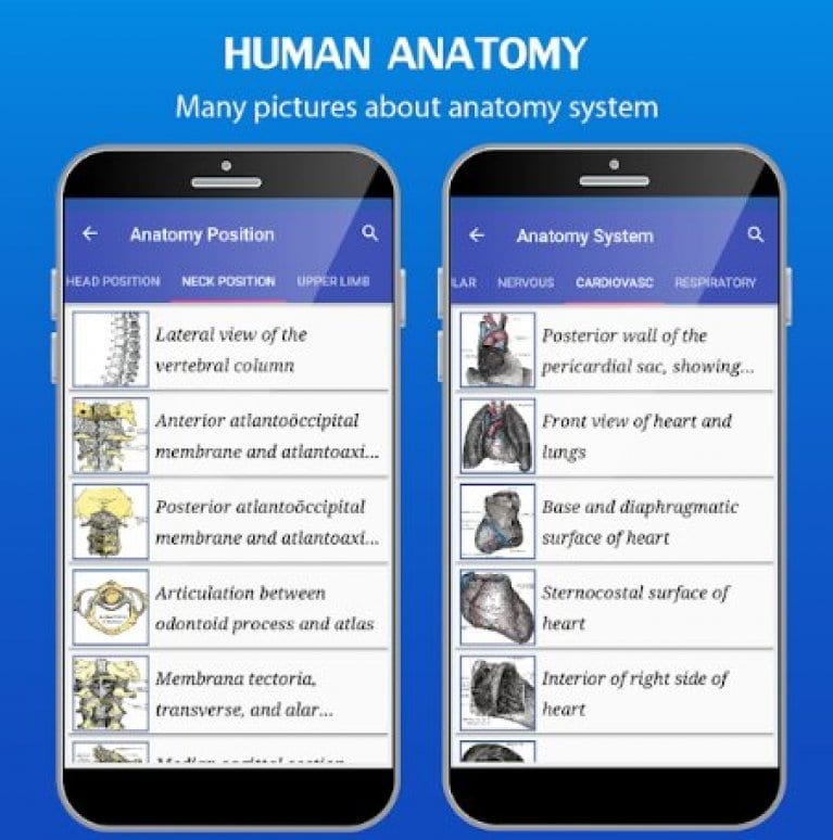 15 Best Anatomy Apps 2026 (Android & iOS) | Freeappsforme - Free apps ...