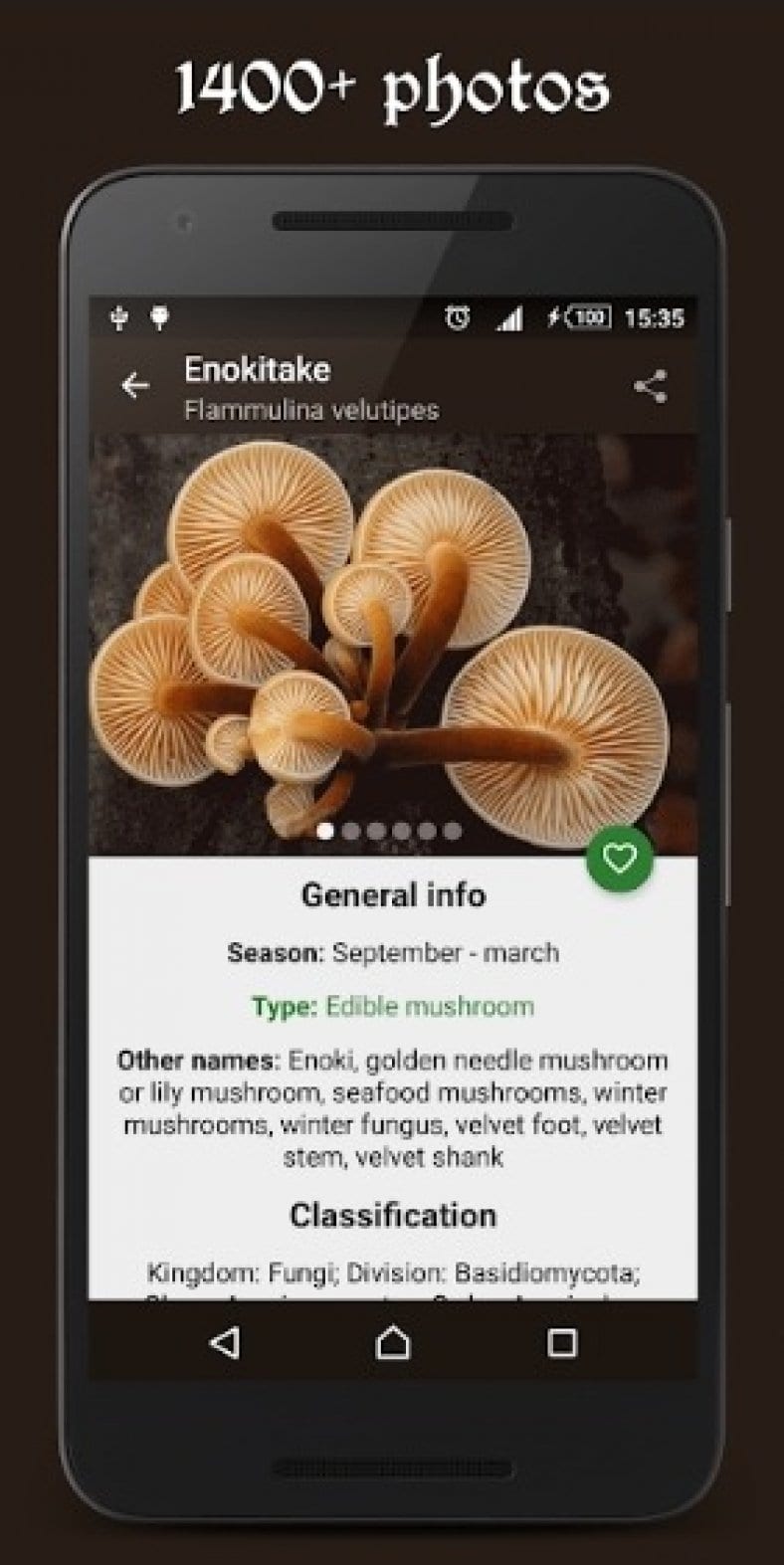 7 Best Mushrooms Identification Apps for Android & iOS | Free apps for Android and iOS