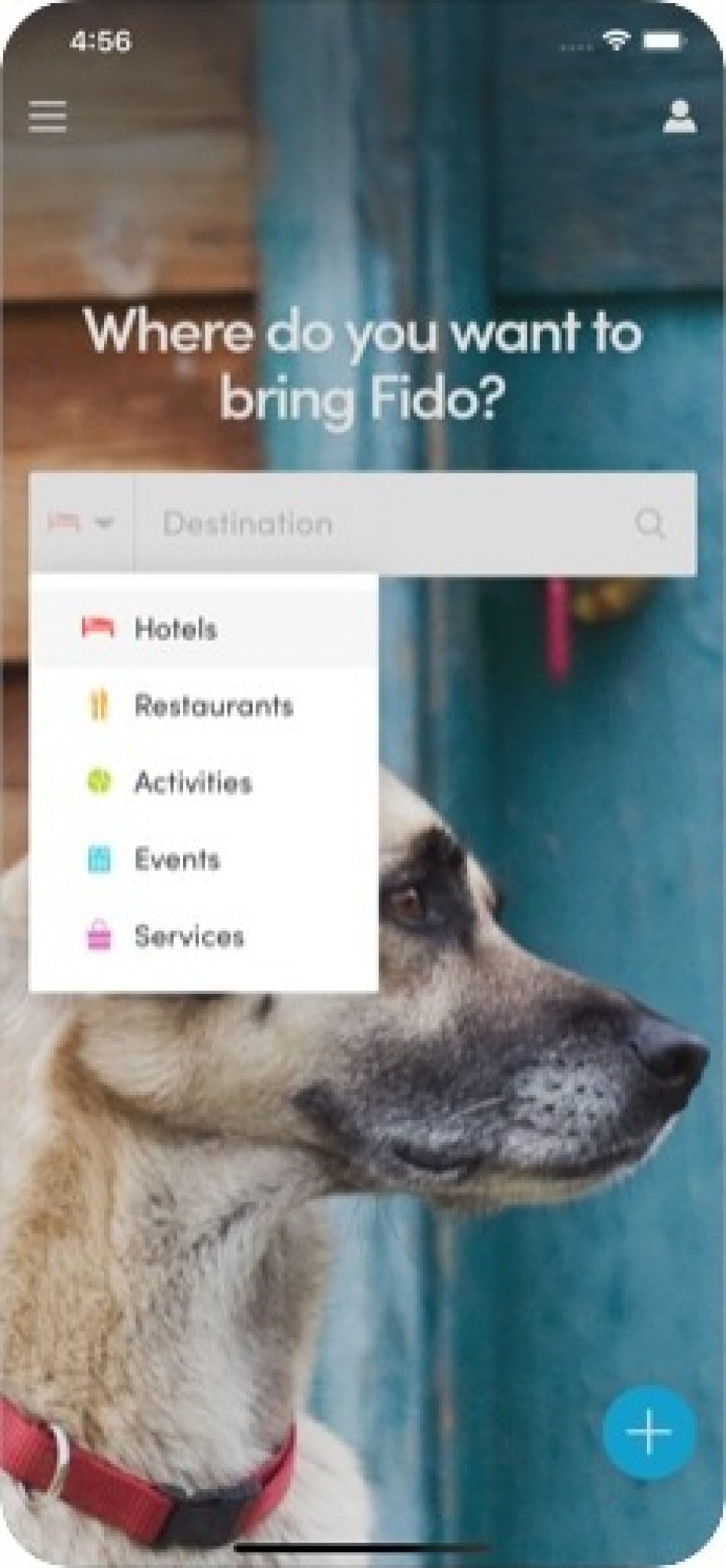 11 Best Animal Apps for Android & iOS | Freeappsforme - Free apps for ...