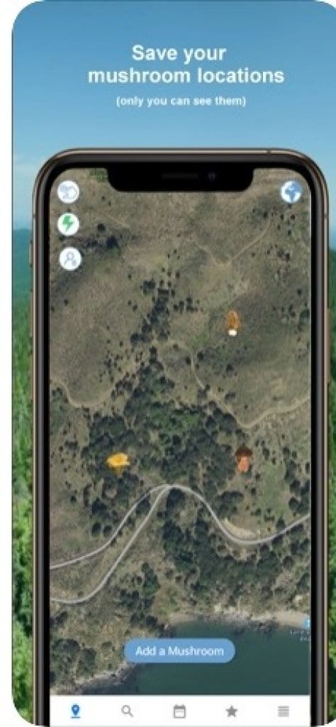 7 Best Mushrooms Identification Apps for Android & iOS | Freeappsforme - Free apps for Android ...
