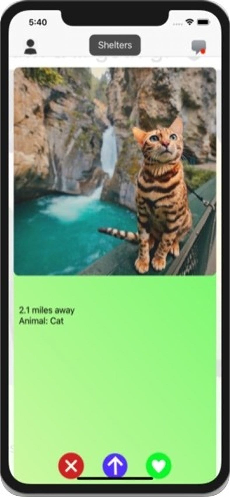 11 Best Animal Apps for Android & iOS | Free apps for Android and iOS