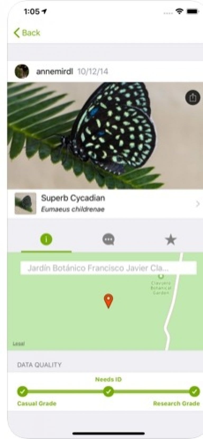 4 Best Animal Identification Apps for Android & iOS | Free apps for ...
